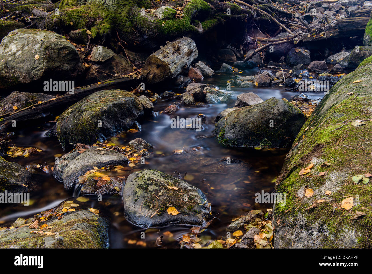 Slow moving water in the autumn Stock Photo - Alamy