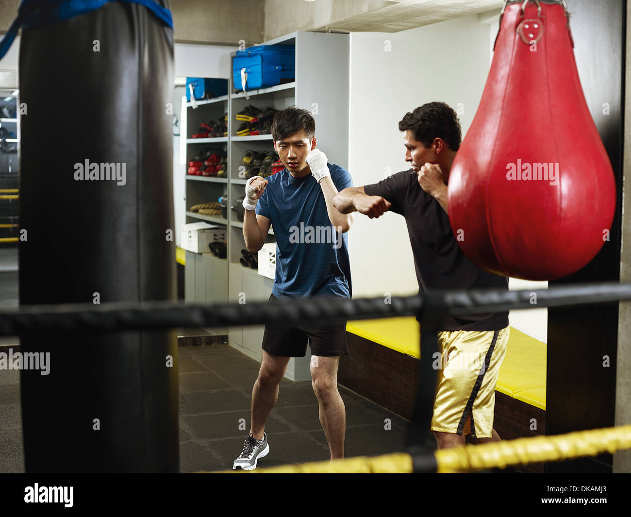 Boxers Sparring High Resolution Stock Photography and Images - Alamy