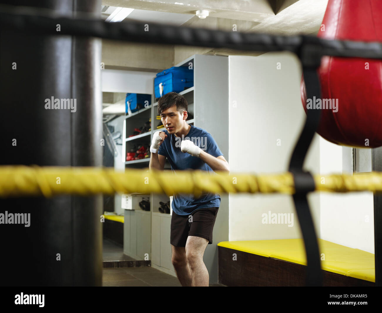 Boxer Art High Resolution Stock Photography and Images - Alamy