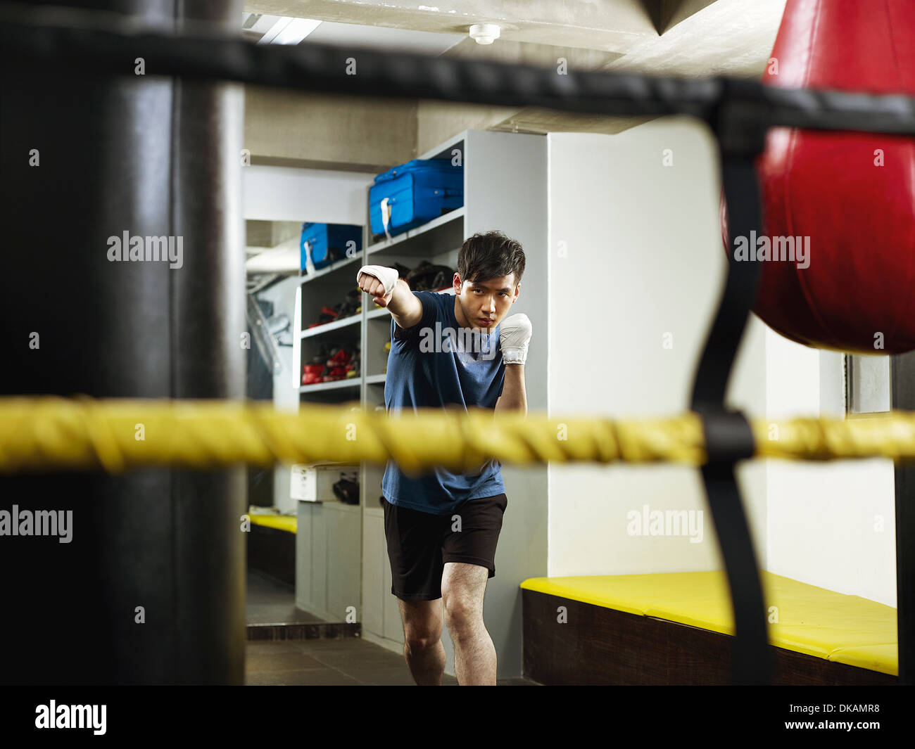 Boxer Art High Resolution Stock Photography and Images - Alamy