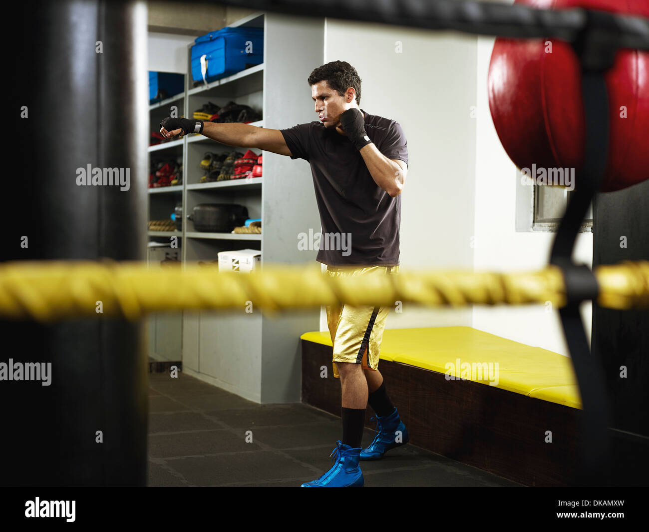 Kickboxer fighter training in hi-res stock photography and images - Alamy