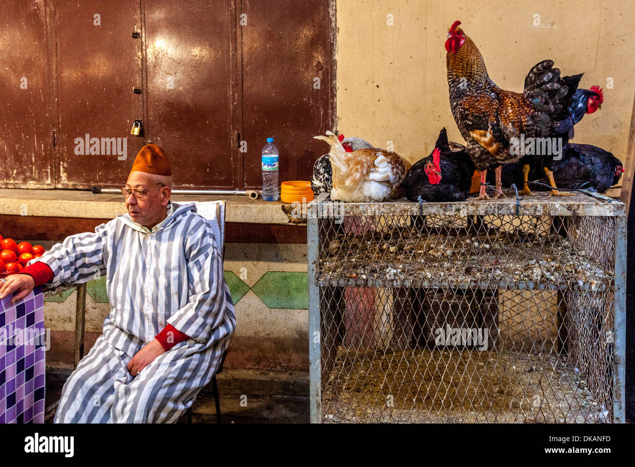 Man selling live chickens in hi-res stock photography and images - Alamy