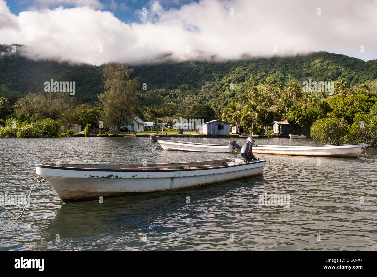 Matuku lau islands fiji hi-res stock photography and images - Alamy
