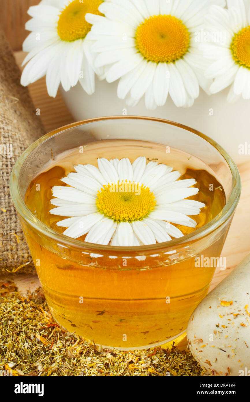 Chamomile tea plant hi-res stock photography and images - Alamy