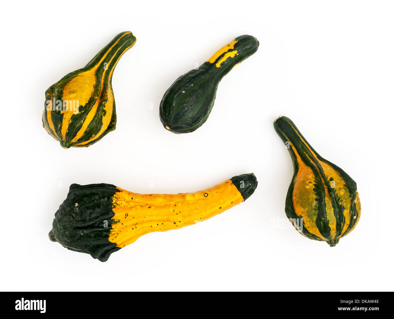 Bumpy gourds Cut Out Stock Images & Pictures - Alamy