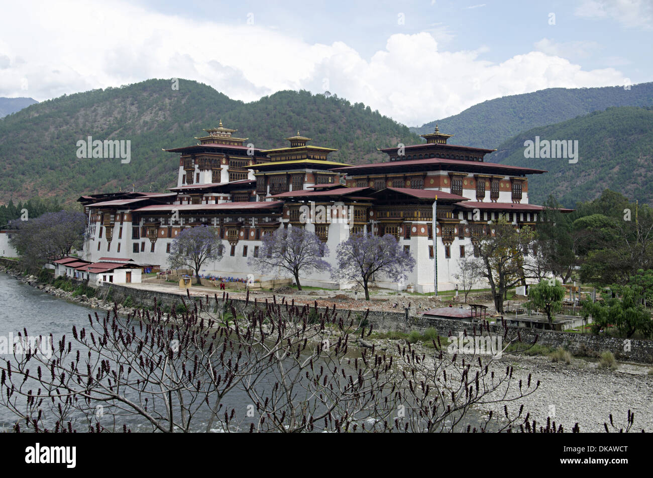 Religion and great buddha palace hi-res stock photography and images ...