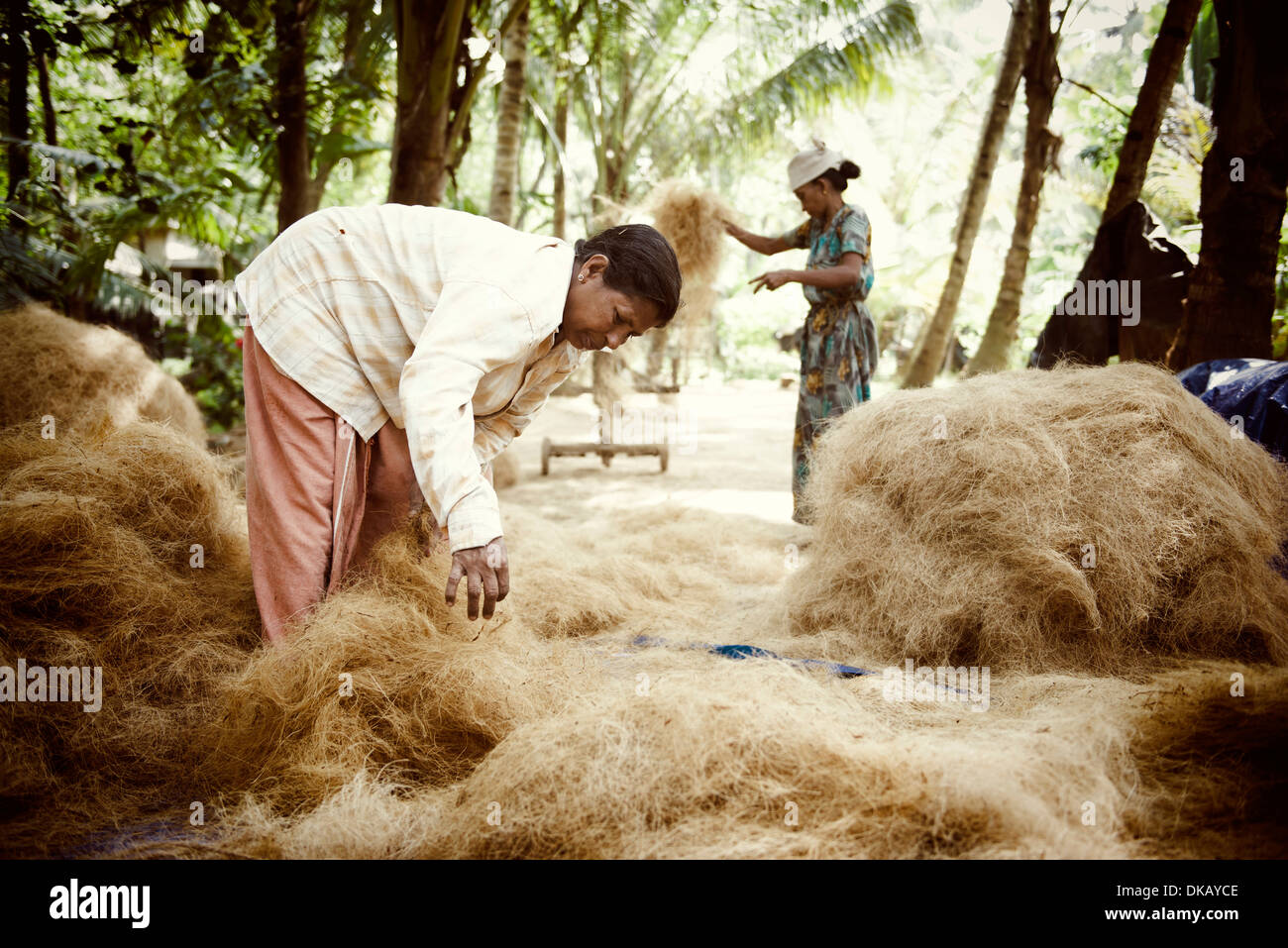 Making rope from coconut hi-res stock photography and images - Alamy