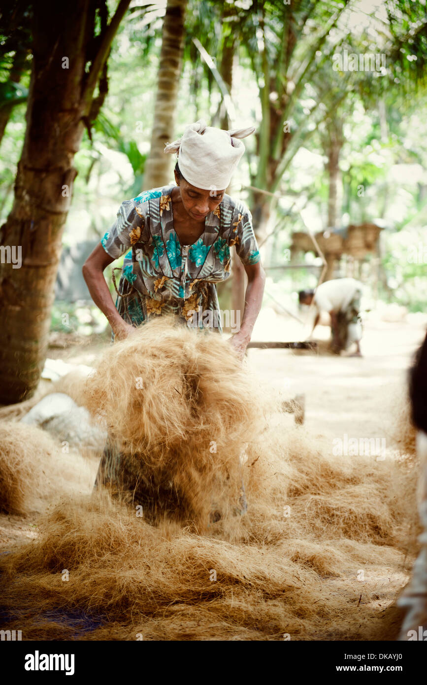 Making rope from coconut fibres hi-res stock photography and images - Alamy