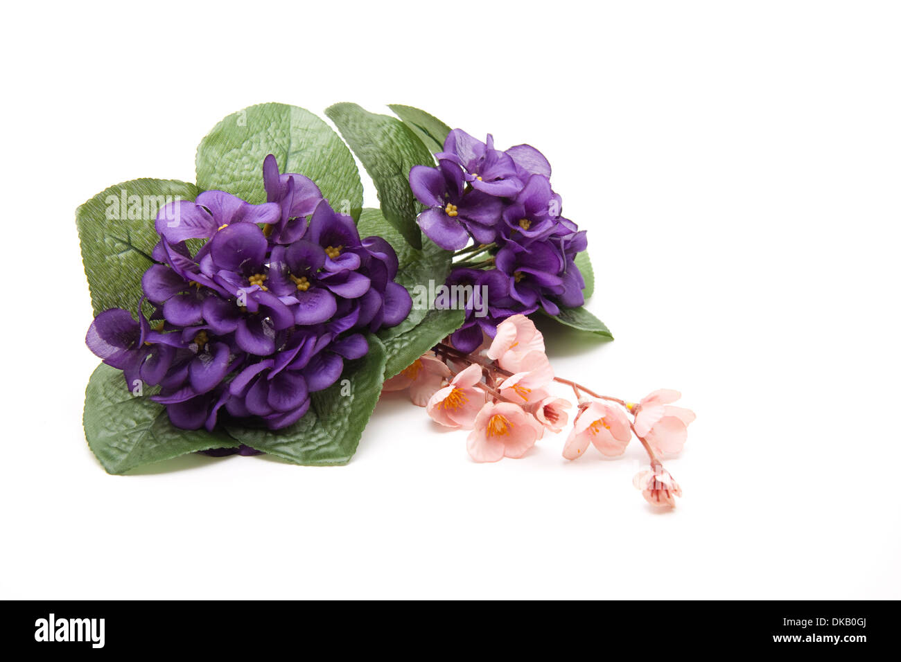 Violets with flowering branch Stock Photo - Alamy