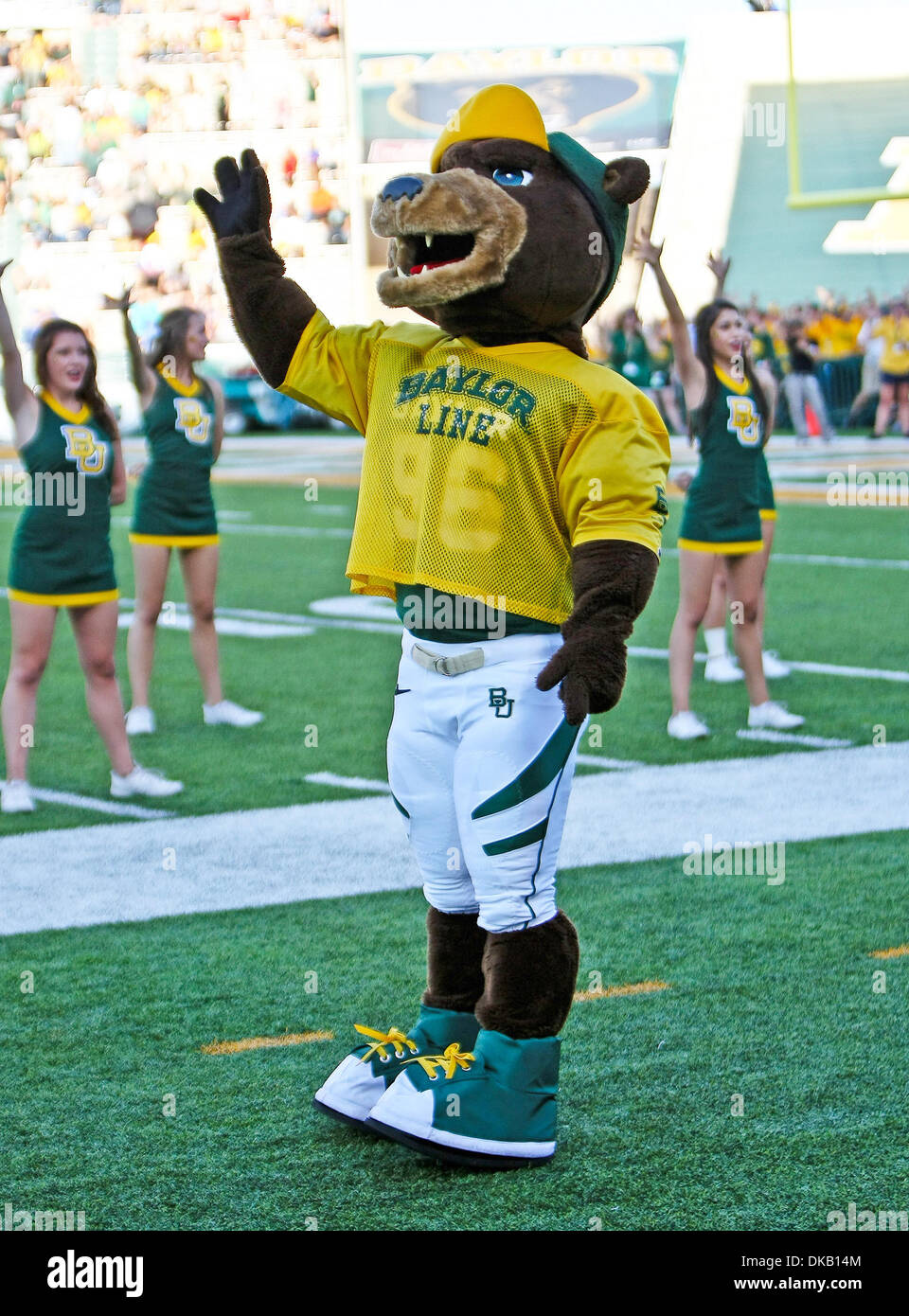 Baylor bears mascot hi-res stock photography and images - Alamy