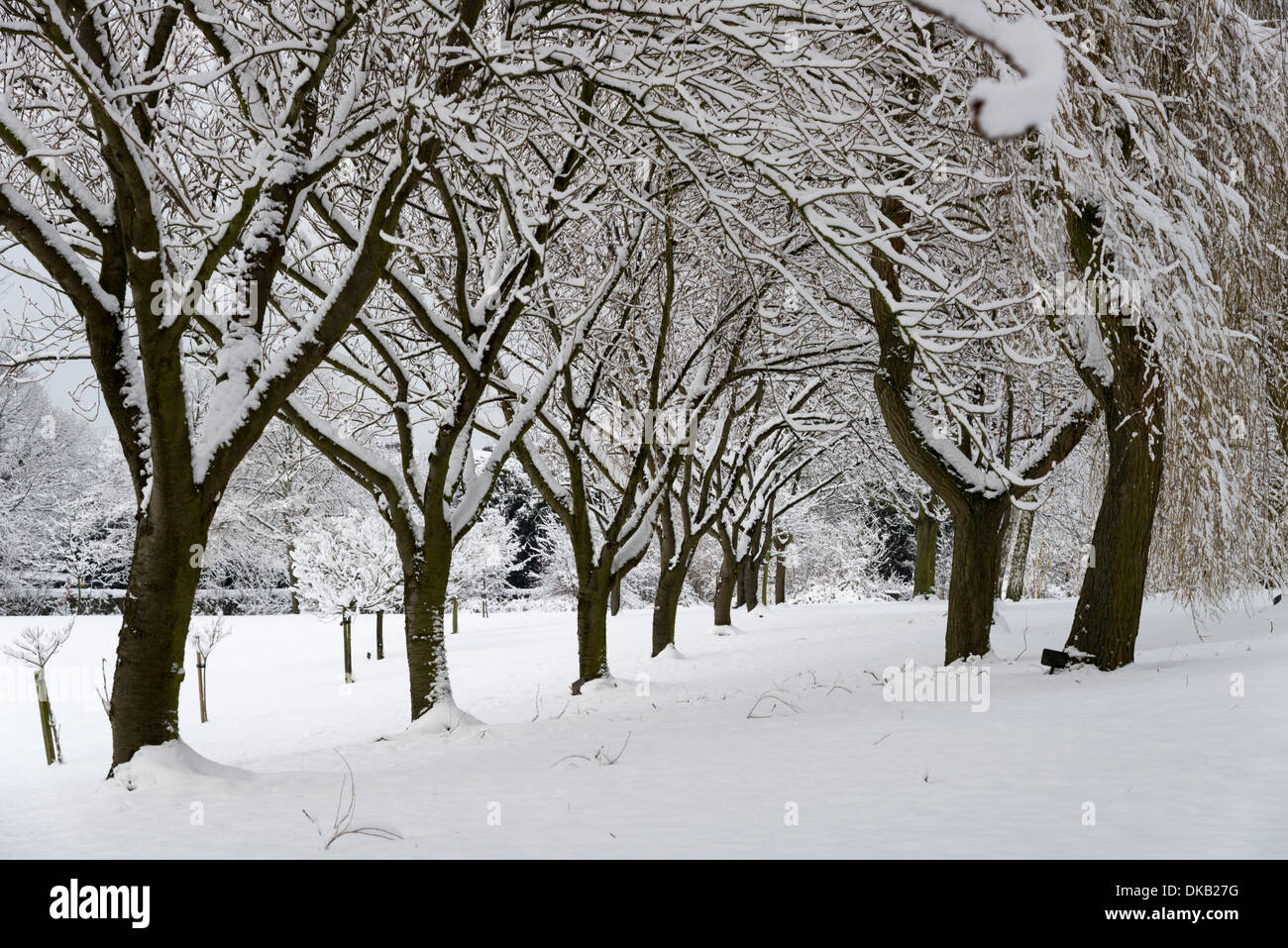 Parts of Britain after heavy snow in January 2013 Stock Photo - Alamy
