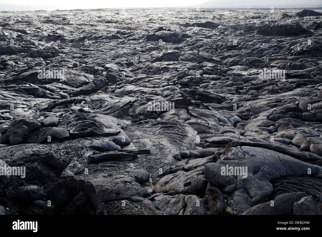 Lava field. Hawaii, Big Island Stock Photo - Alamy