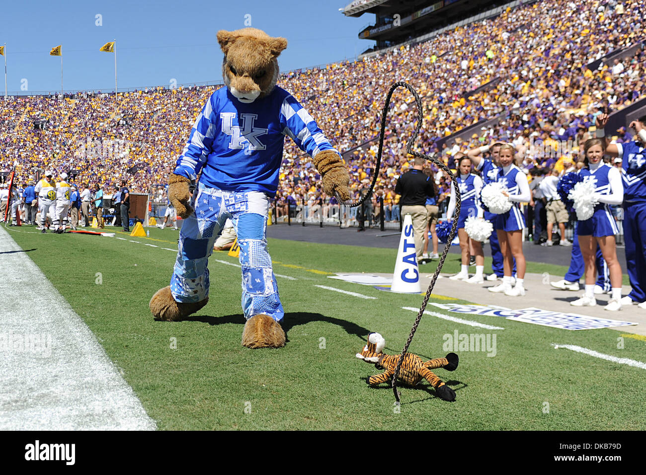 Kentucky wildcats mascot hi-res stock photography and images - Alamy