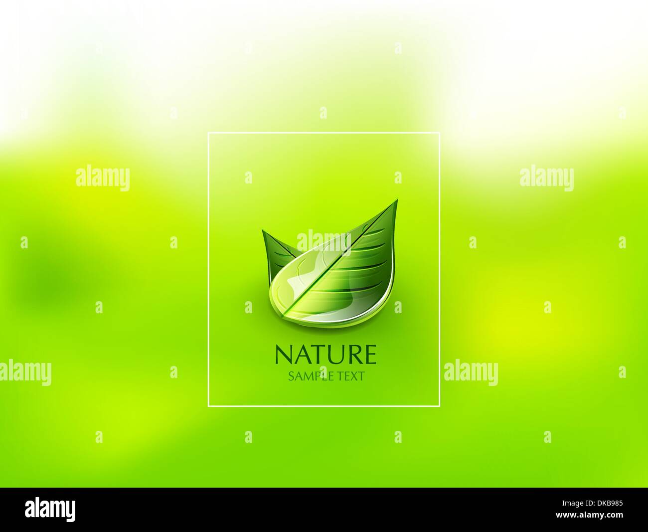 Vector abstract green leaf composition Stock Vector Image & Art - Alamy