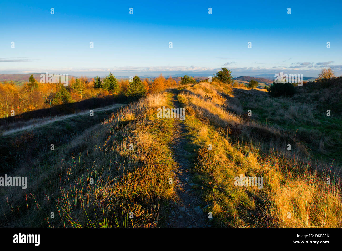 South Shropshire countryside from Bury Ditches iron age hill fort ...