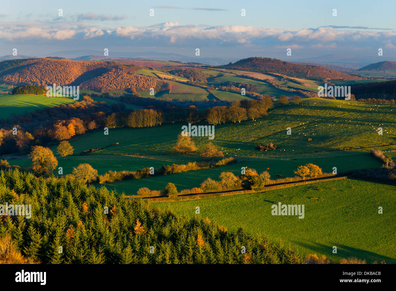 South Shropshire countryside from Bury Ditches iron age hill fort ...