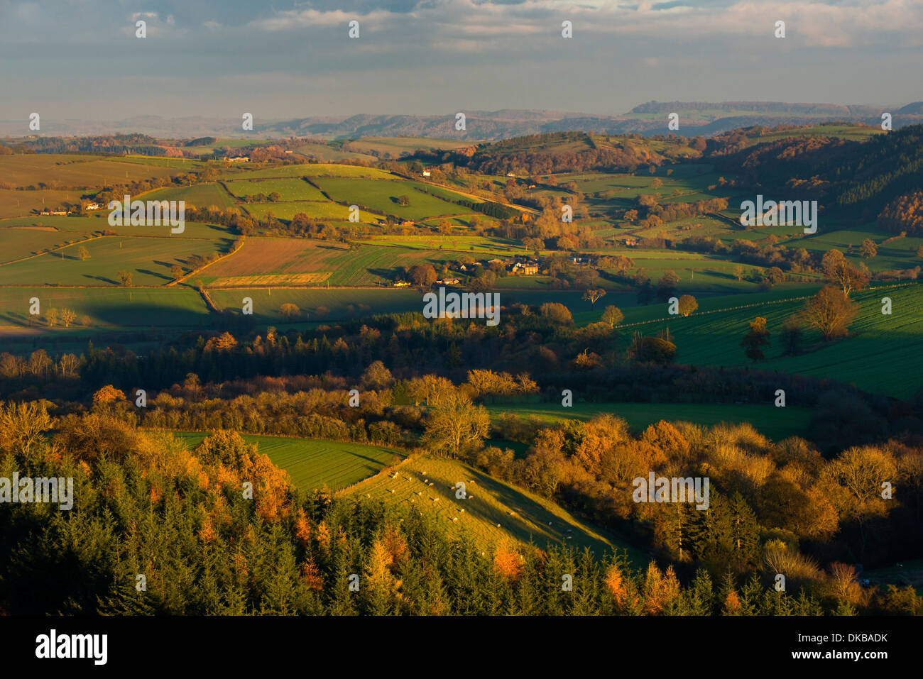 South Shropshire countryside from Bury Ditches iron age hill fort ...