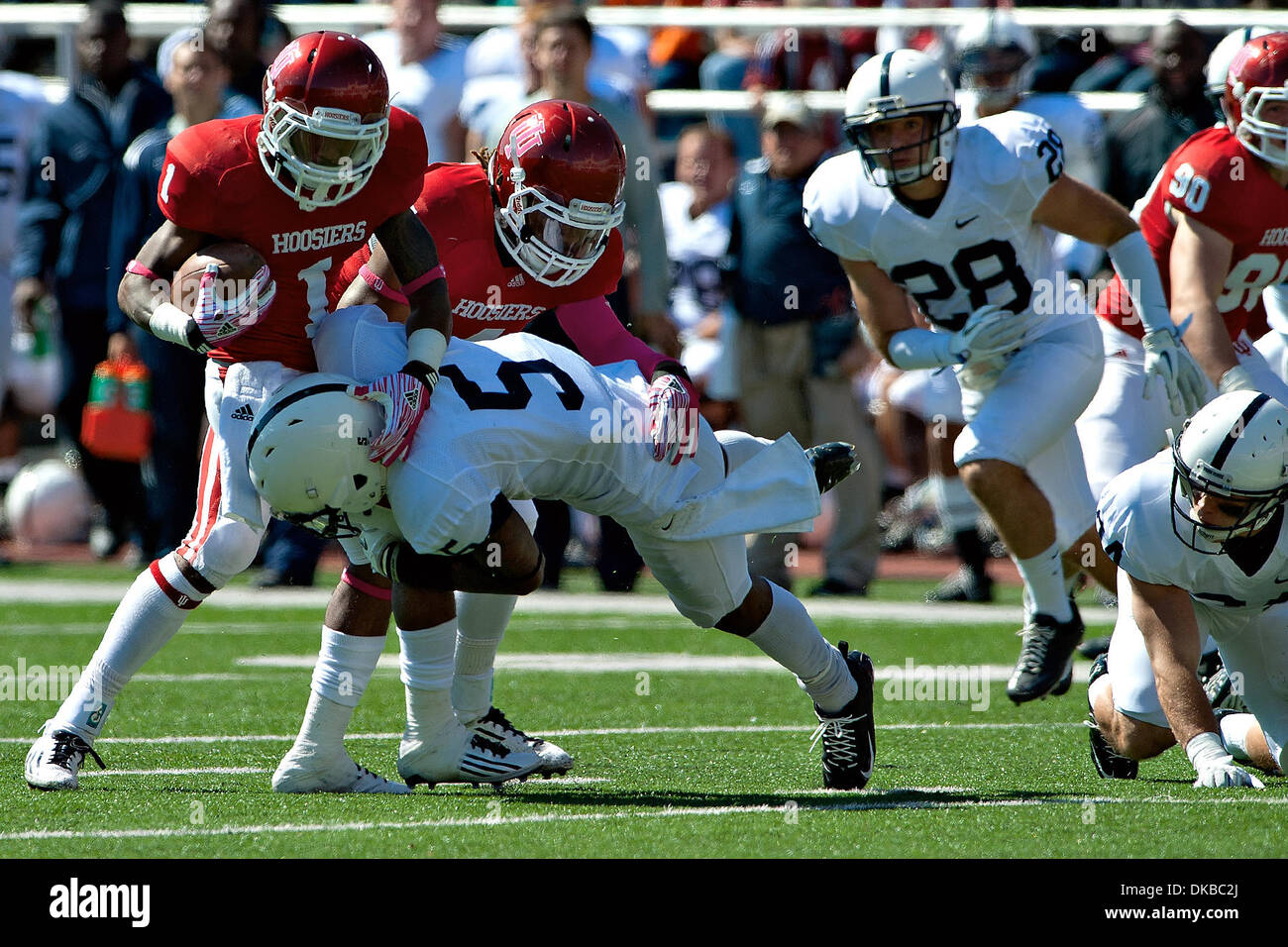 Shane wynn hi-res stock photography and images - Alamy