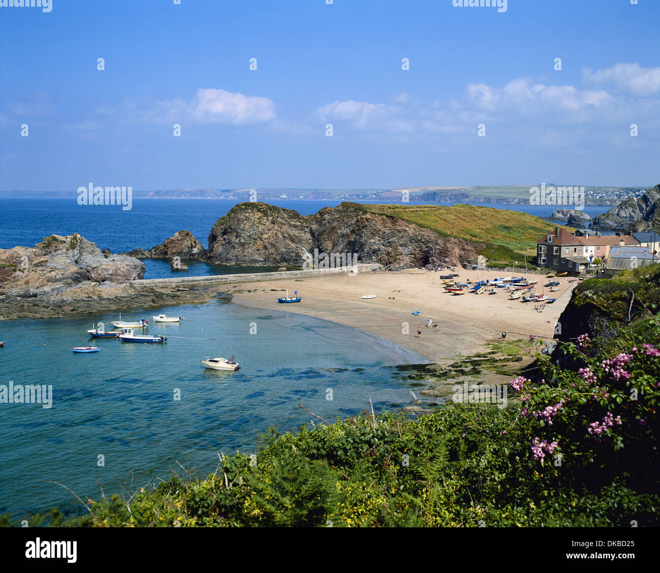 Hope Cove Devon England UK Stock Photo - Alamy