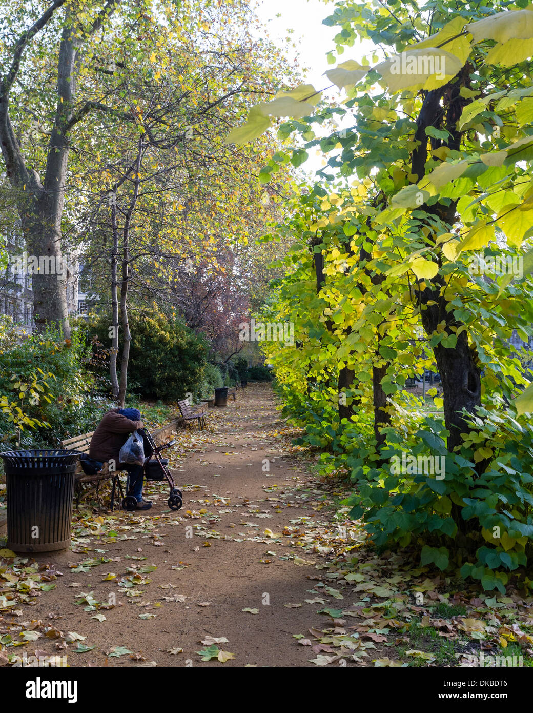 Gordon square garden hi-res stock photography and images - Alamy