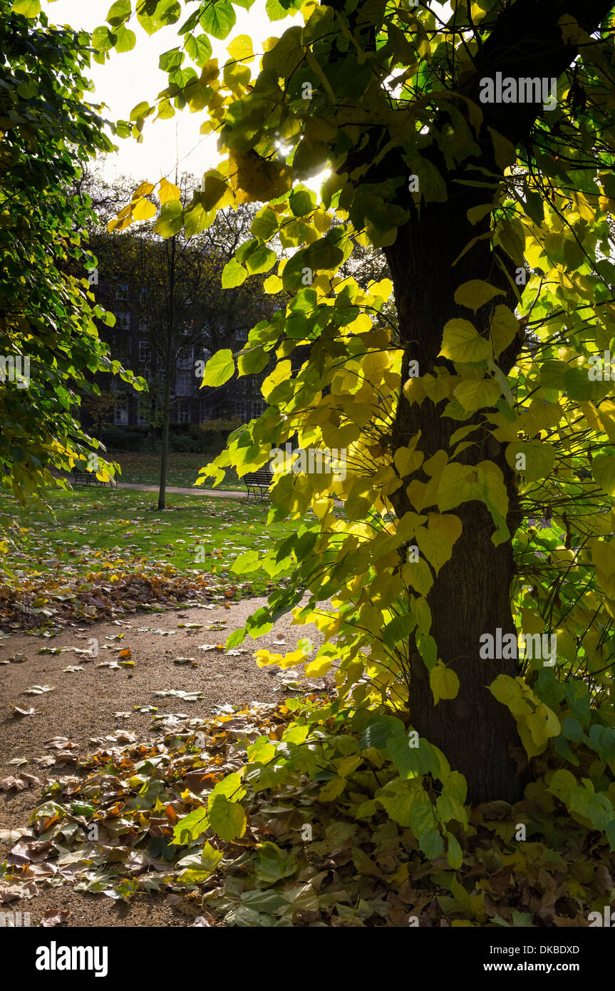 Gordon Square Garden High Resolution Stock Photography and Images - Alamy