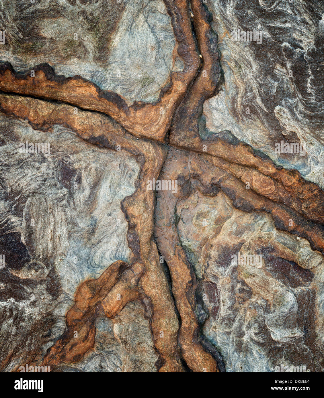 Rock formations at Howick on the Northumberland Coast Stock Photo - Alamy