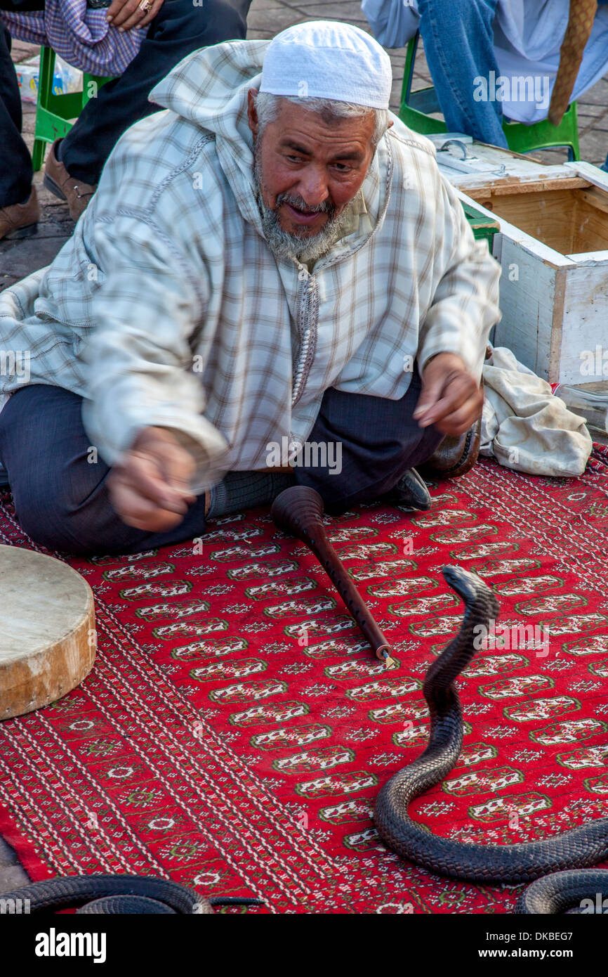Marrakech snakes hi-res stock photography and images - Alamy