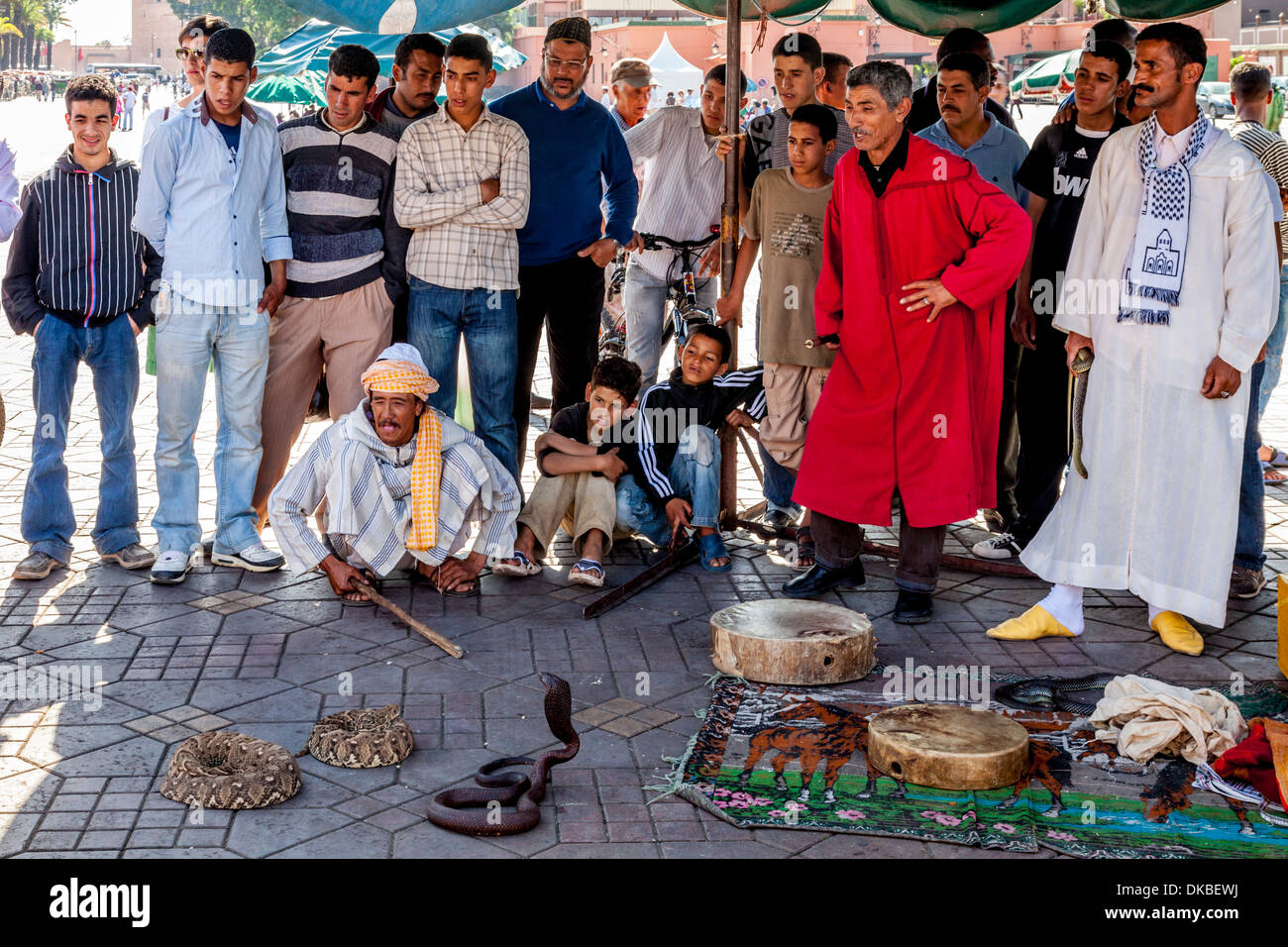 Jemaa el fnaa, snake marrakech hi-res stock photography and images - Alamy