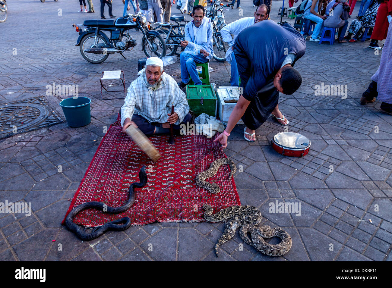 Snakes jemaa el fna square hi-res stock photography and images - Alamy