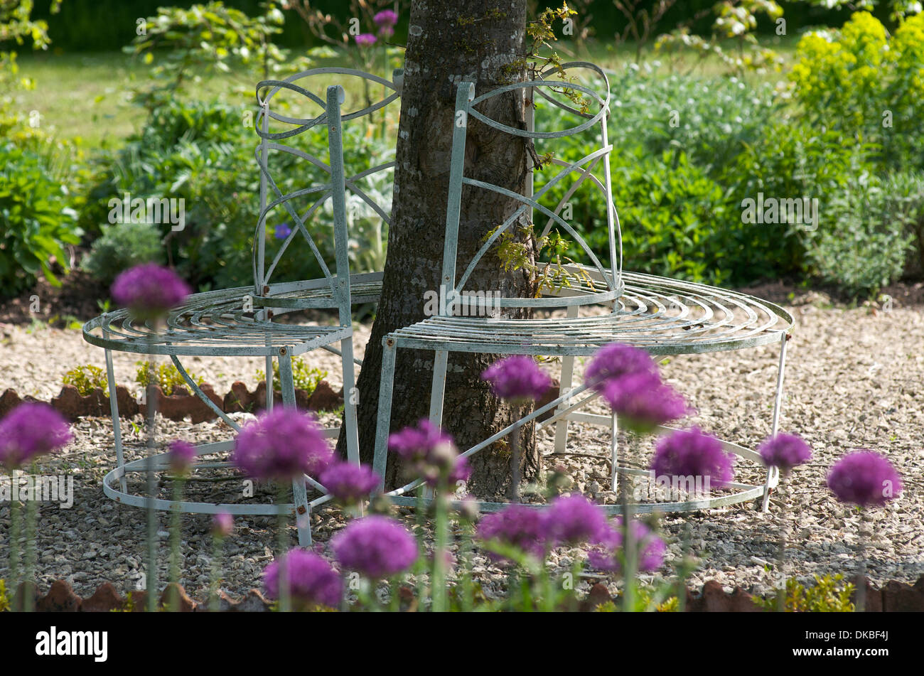 Seating around tree hi-res stock photography and images - Alamy