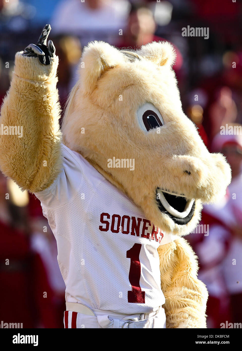Oklahoma sooners mascot hi-res stock photography and images - Alamy