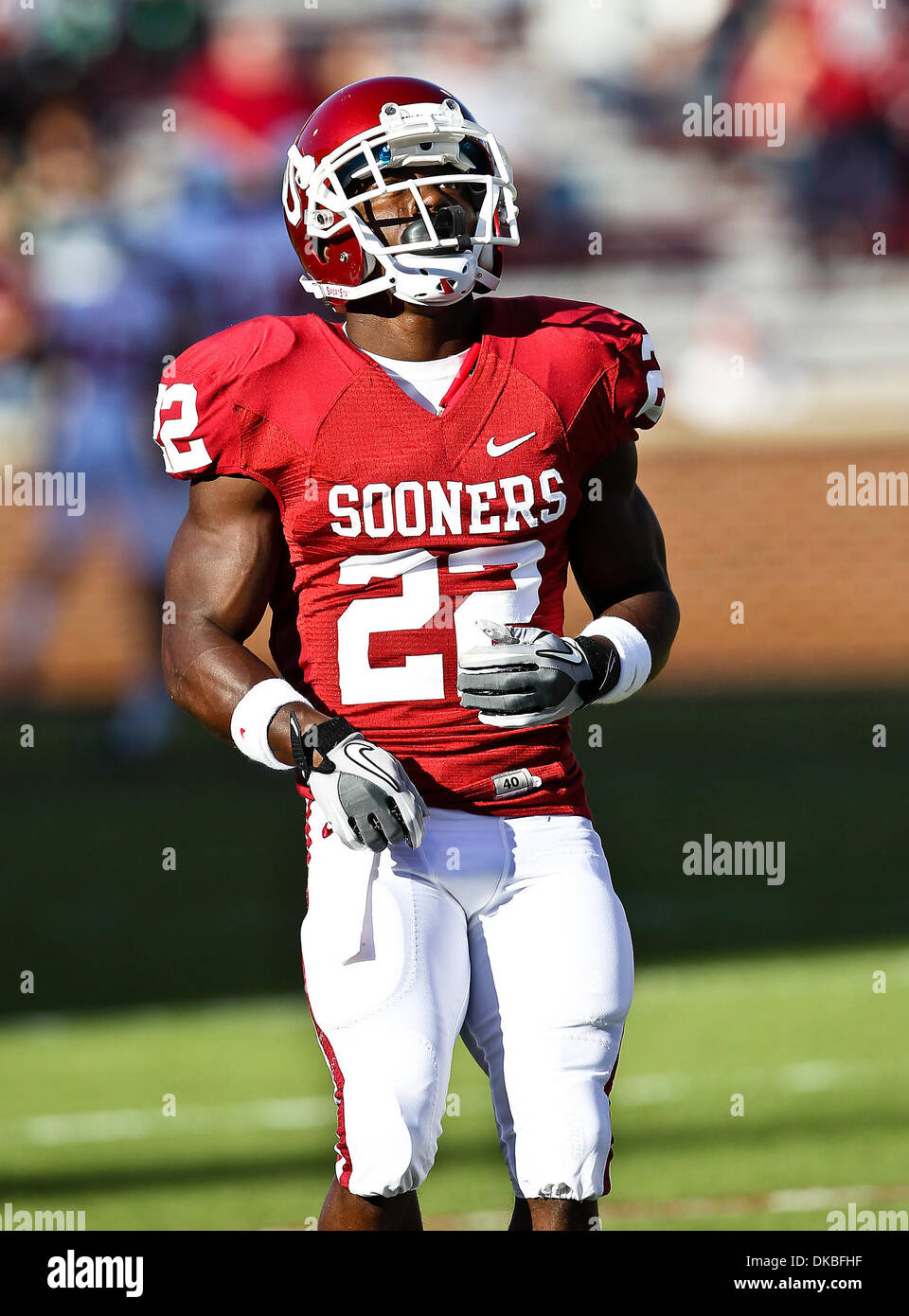 Roy finch hi-res stock photography and images - Alamy