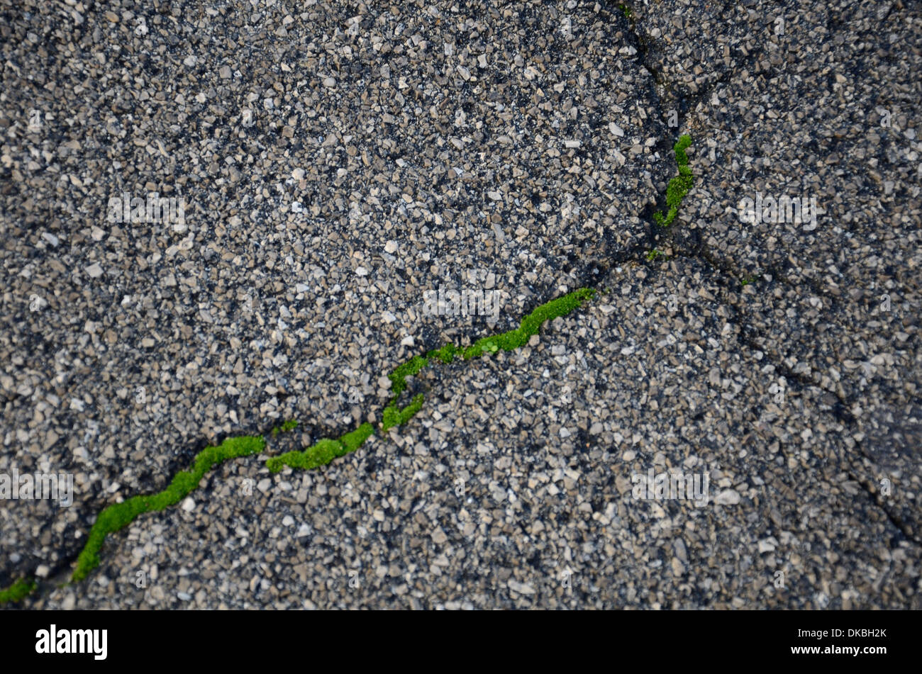 Texture of a paved road surface with inset moss Stock Photo - Alamy