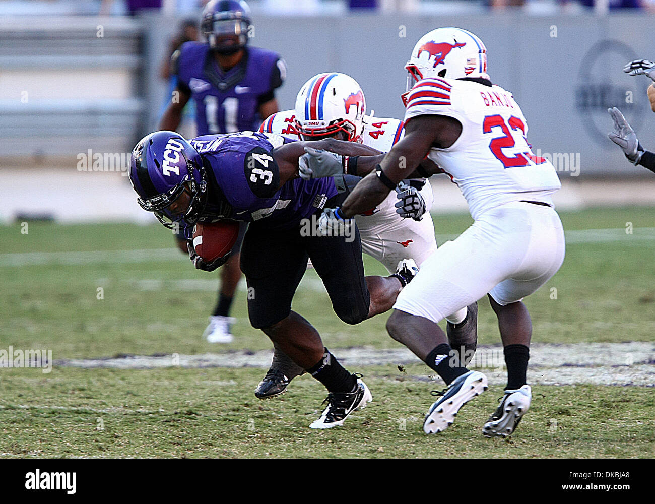 Reed frogs hi-res stock photography and images - Alamy