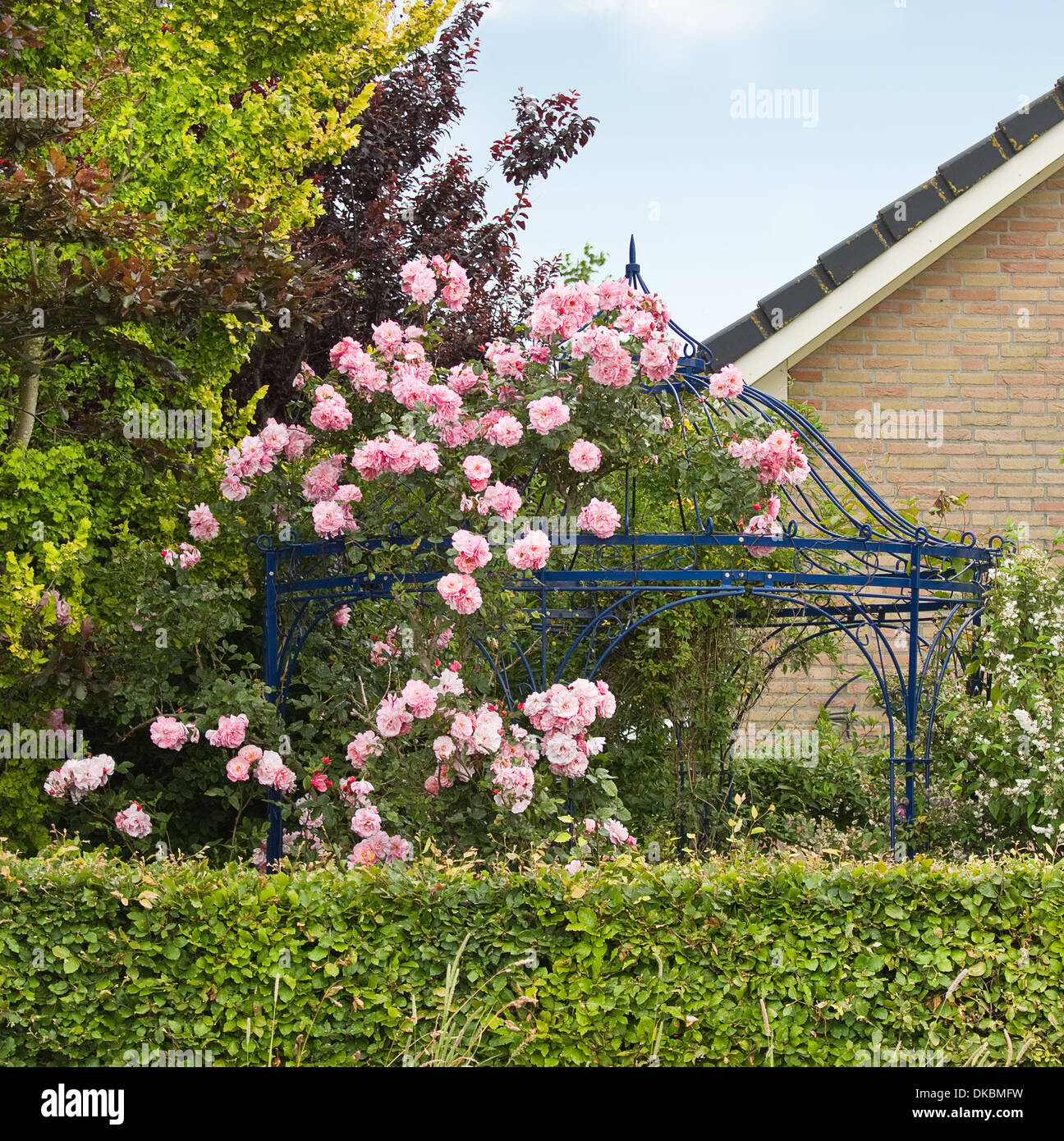 Rose arbour hi-res stock photography and images - Alamy