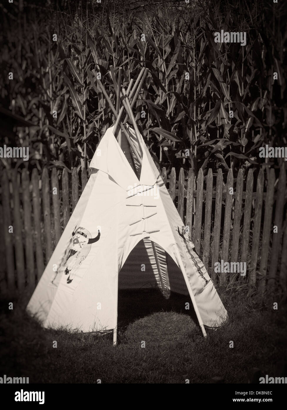Structure of a tipi hi-res stock photography and images - Alamy