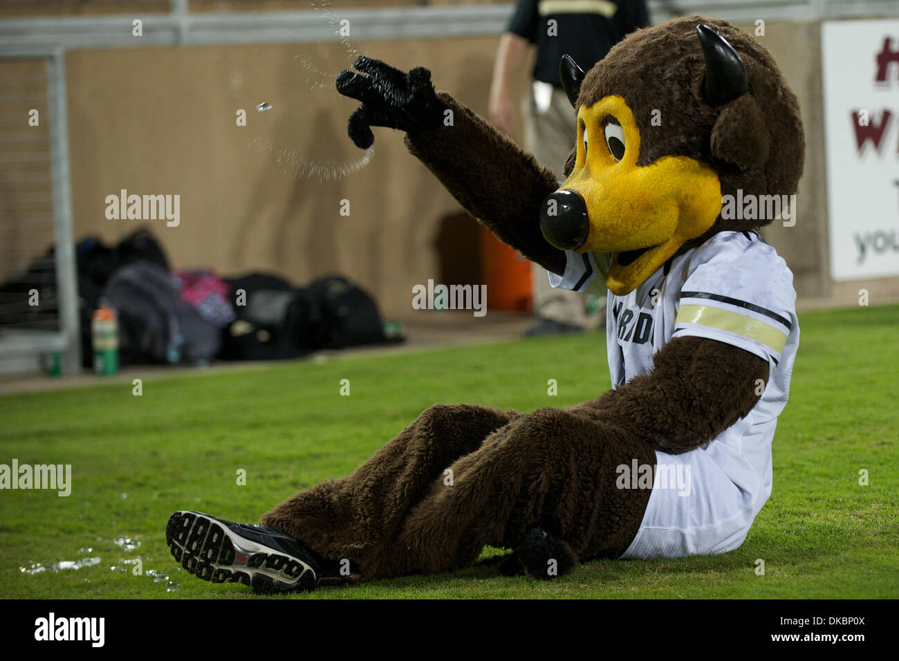 Oct. 8, 2011 - Stanford, California, U.S - Colorado mascot Chip the ...