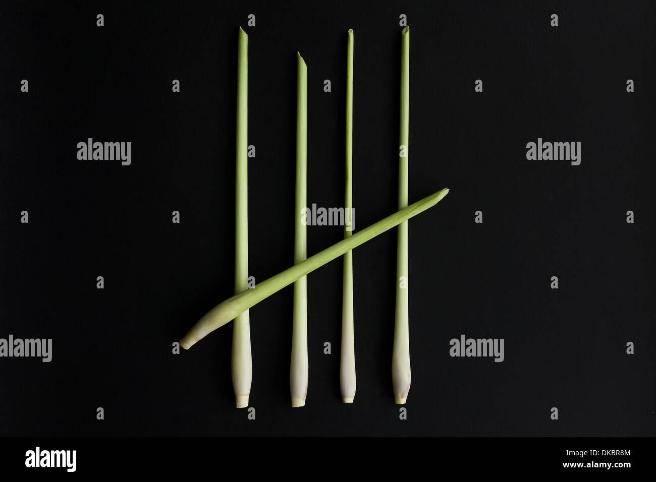 A five bar gate, No. 5, Number 5, 5 pieces of lemongrass on a black ...