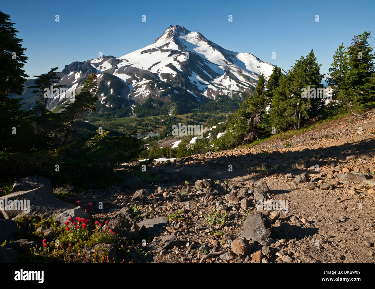 OREGON - Mount Jefferson from Park Ridge in the Mount Jefferson ...
