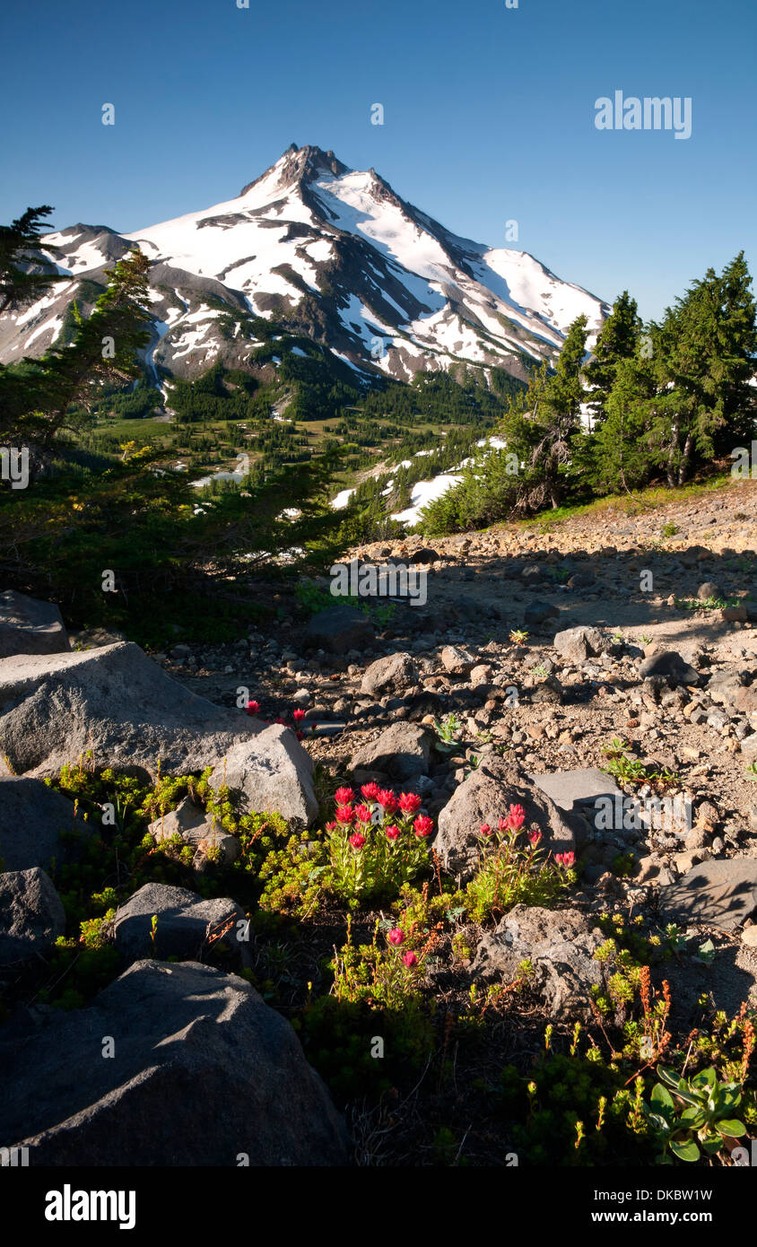 OREGON - Jefferson Park and Mount Jefferson from Park Ridge in the ...