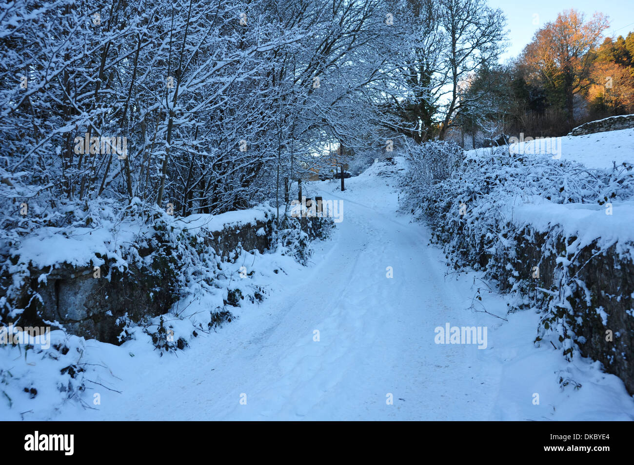 snow on road Stock Photo - Alamy