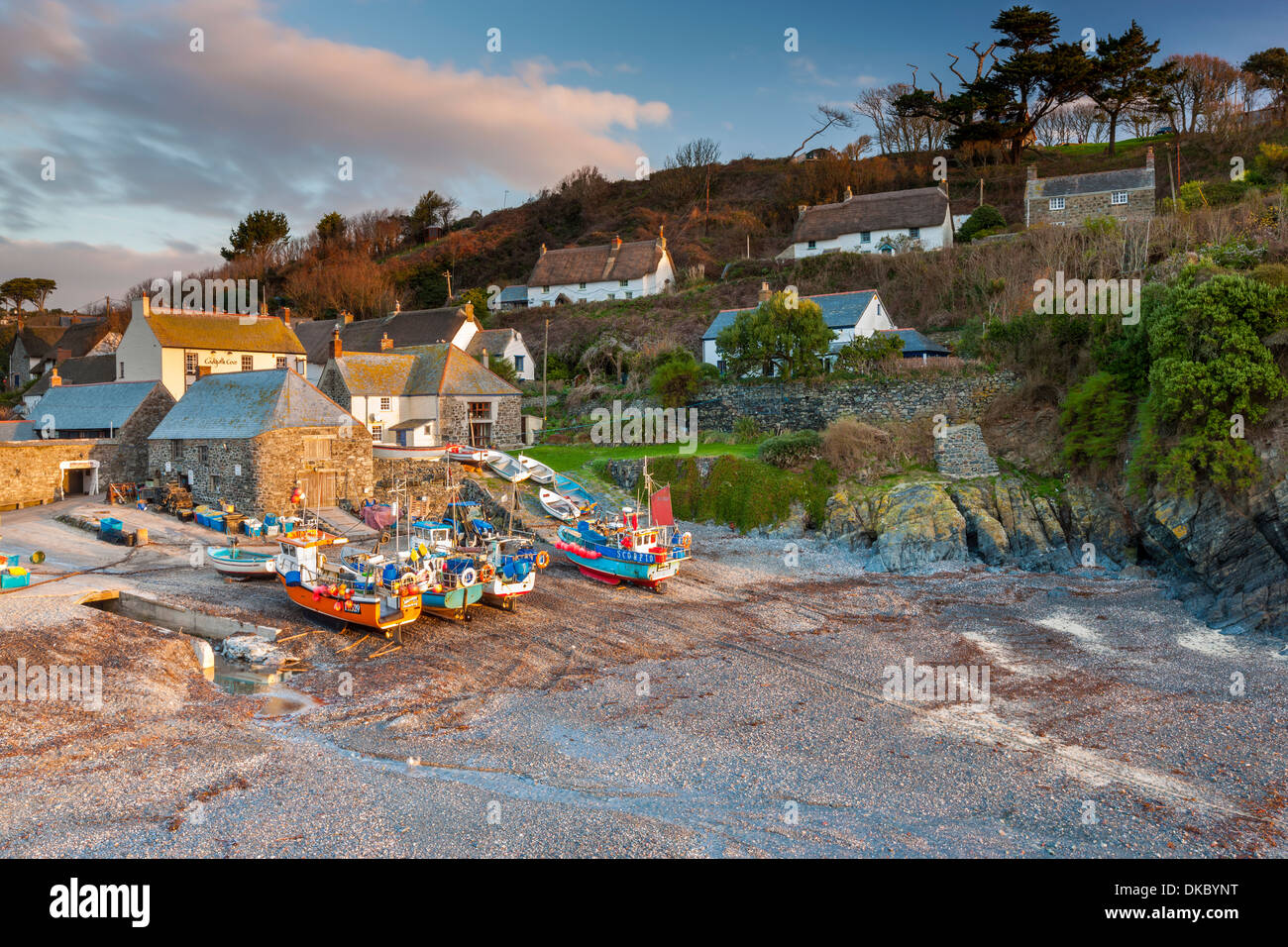 Harbour cadgwith cornwall cornish hi-res stock photography and images ...
