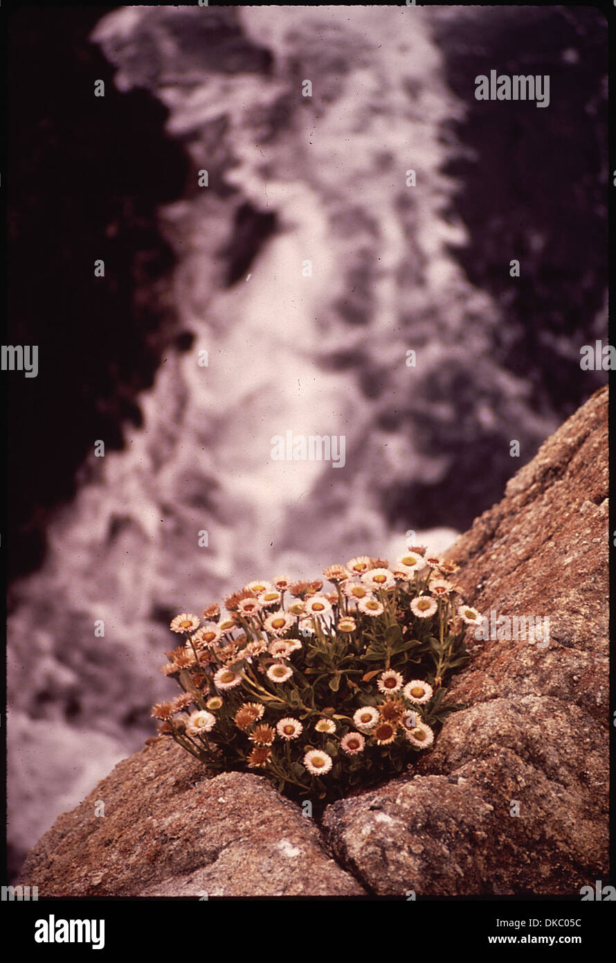 The Monterey Bay Area in California is renowned for its stunning ...