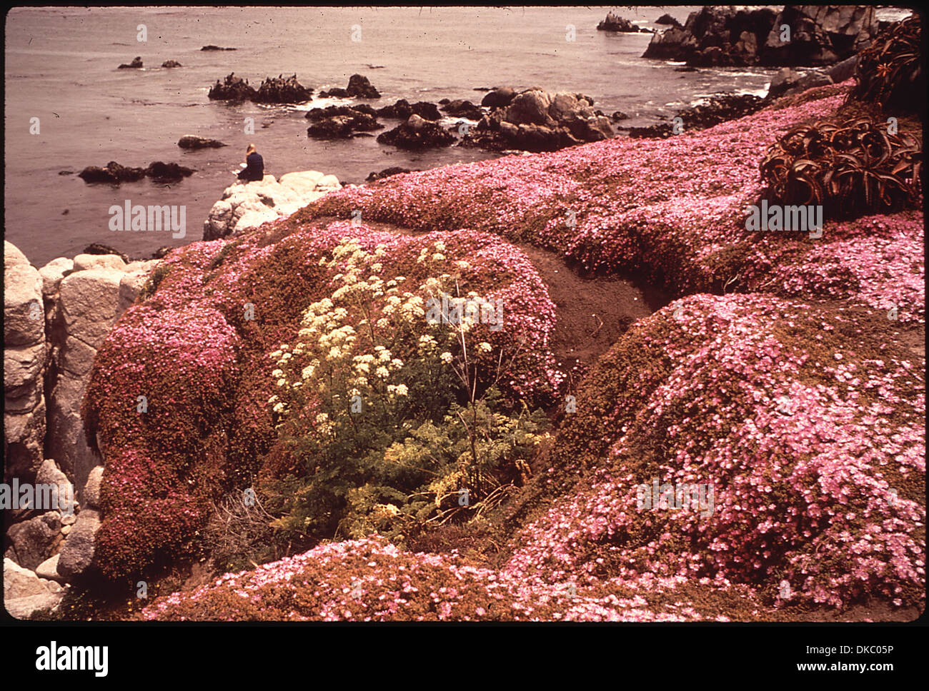 View monterey california known hi-res stock photography and images - Alamy