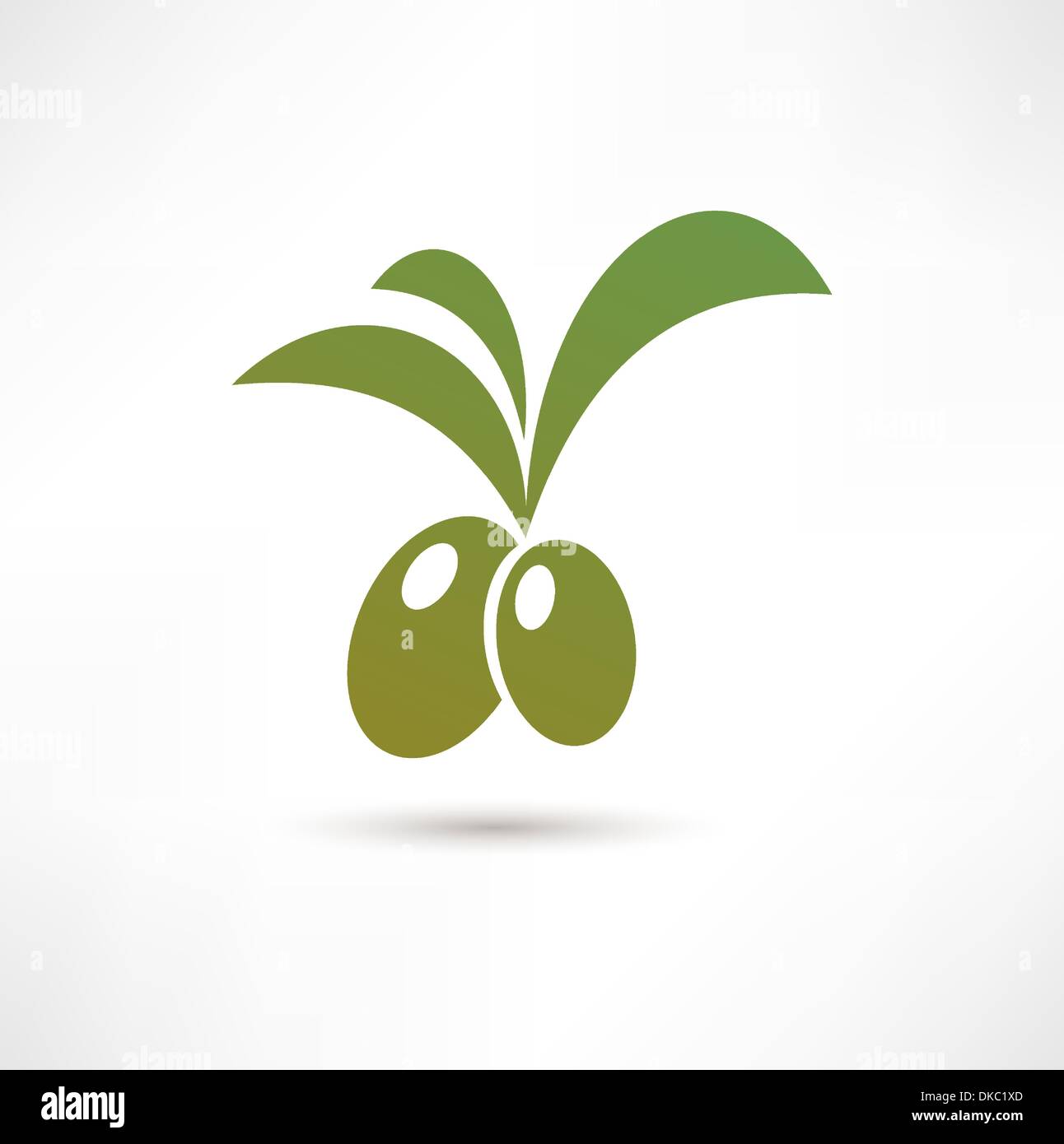 Olive seed Stock Vector Images - Alamy