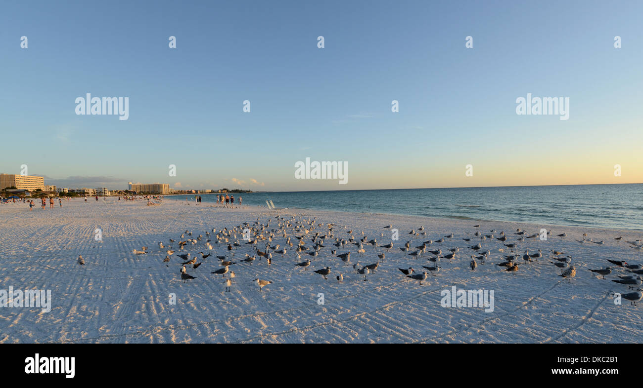 Siesta Key High Resolution Stock Photography and Images - Alamy