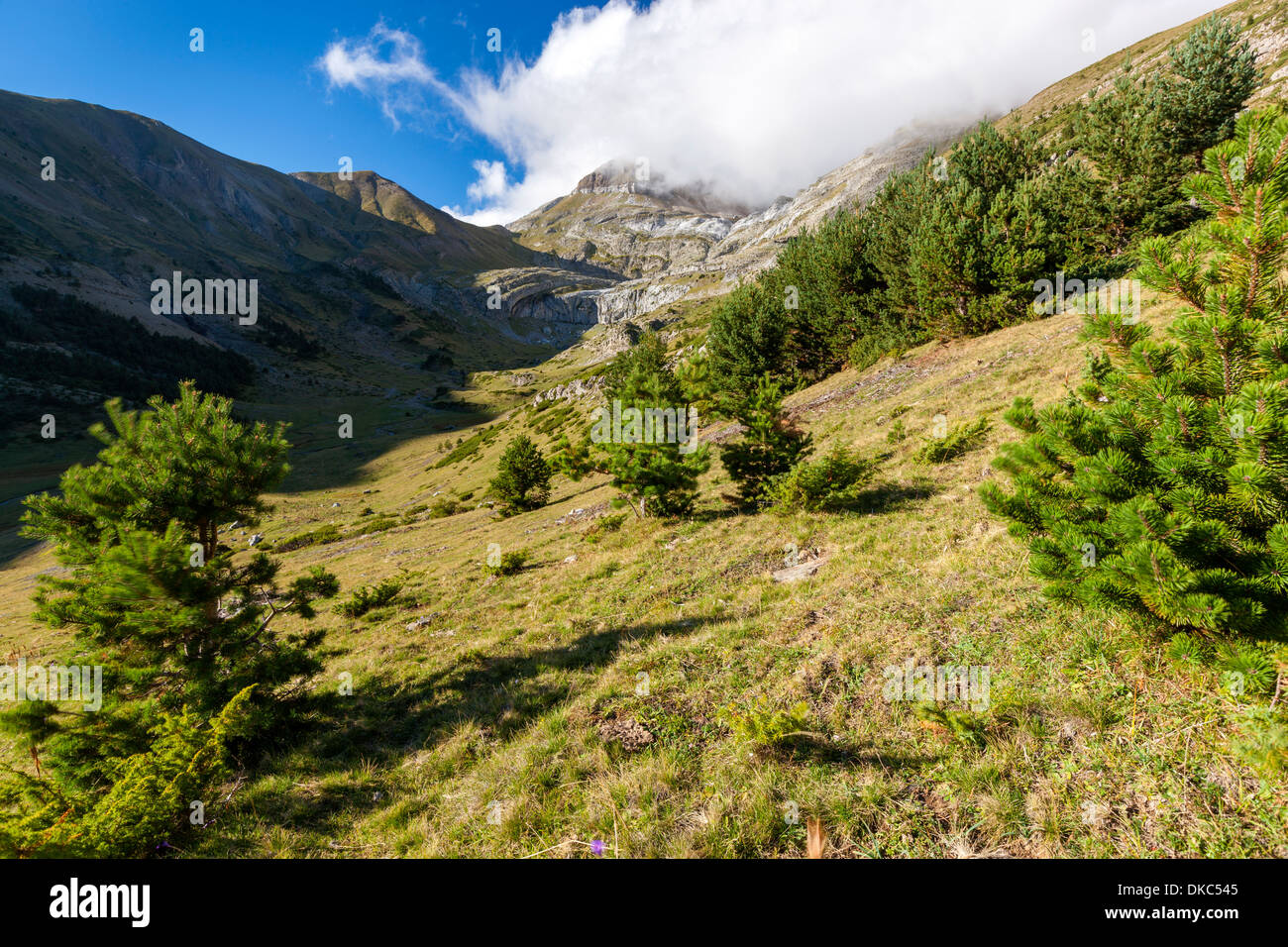 Aisa valley, Parque Natural de los Valles Occidentales, Jacetania ...