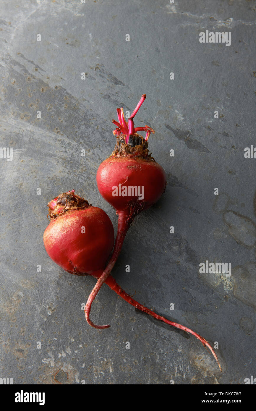 Two radish hi-res stock photography and images - Alamy