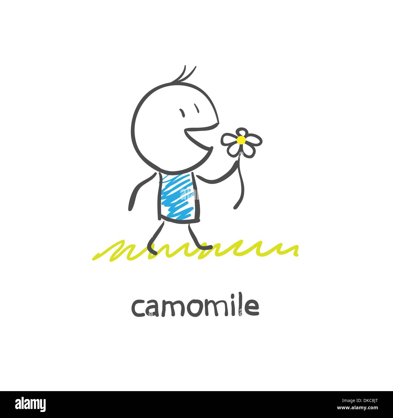 Wild camomile Stock Vector Images - Alamy