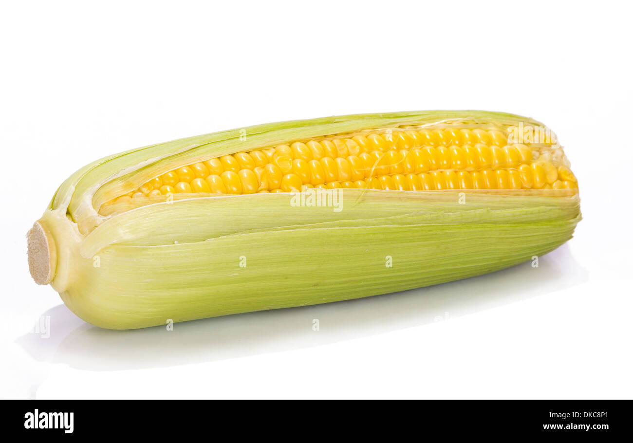 Corn on a white background Stock Photo - Alamy